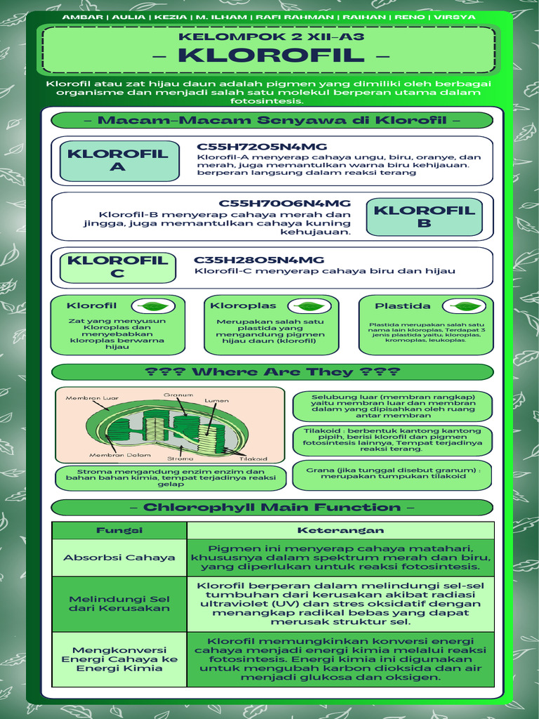 Klorofil dan Fungsinya | PDF