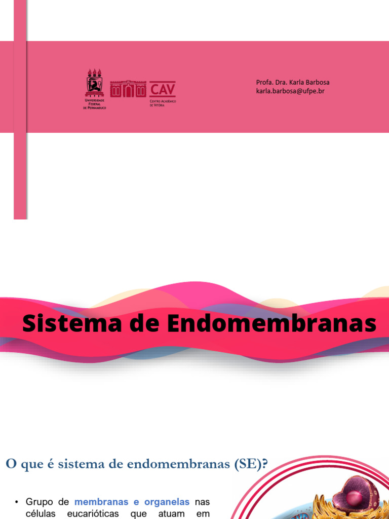 Sistema de Endomembranas e Funções Celulares | PDF | Retículo ...