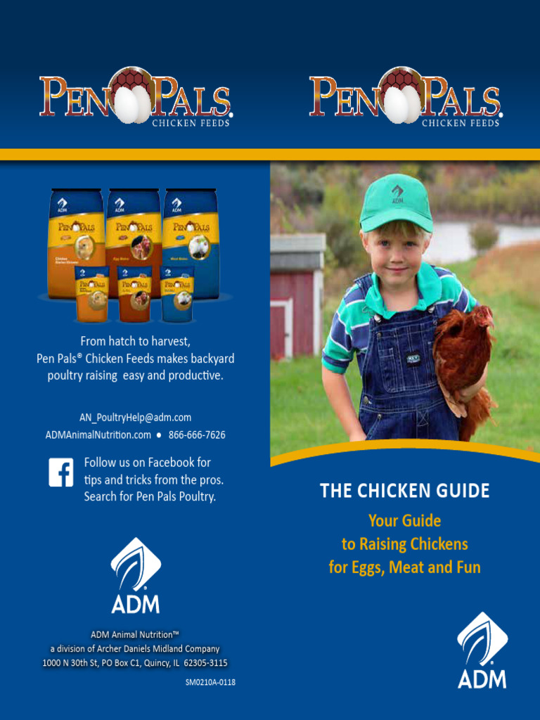 Thechickengudie 3 | PDF | Chicken | Poultry Farming