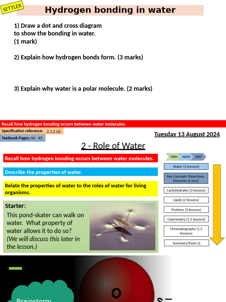 2 Roles of Water | PDF | Properties Of Water | Water