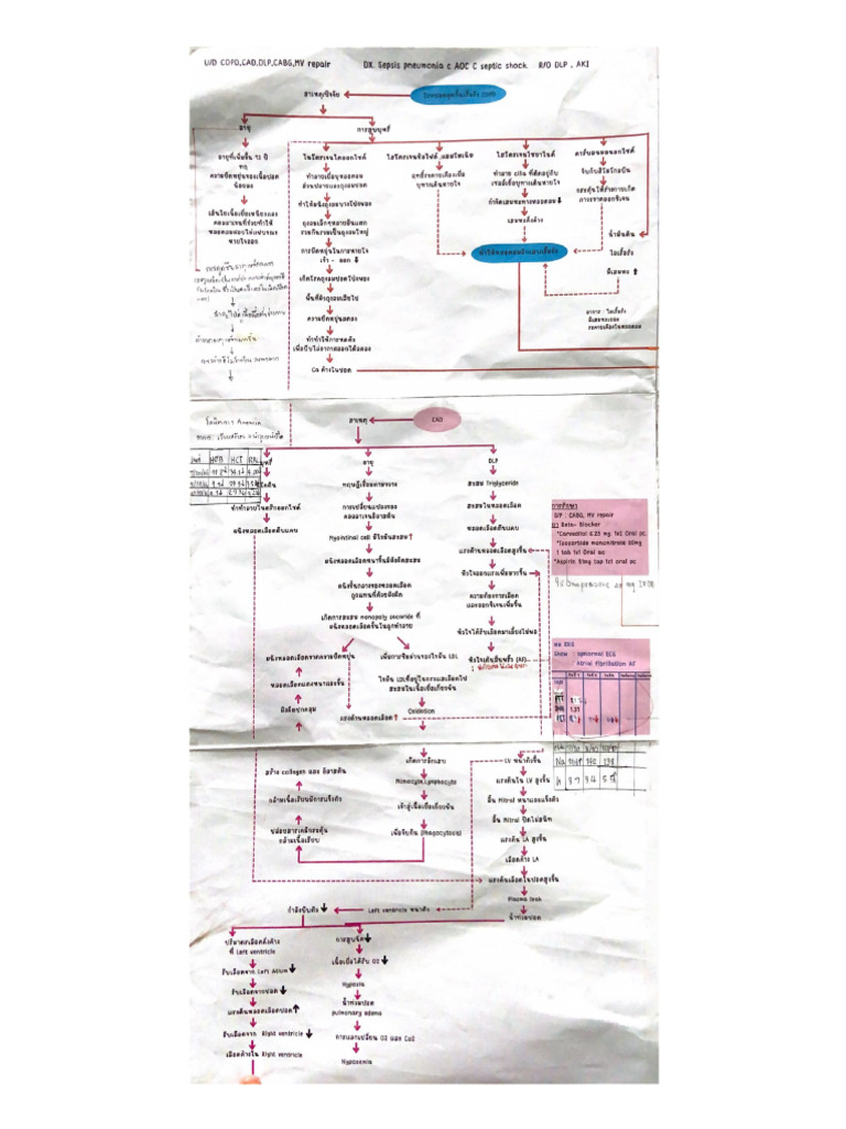 Pulmonary Edemo | PDF