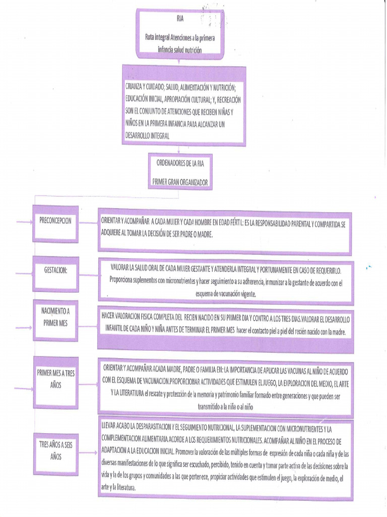 Mapa Conceptual 1 | PDF