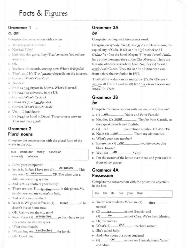 TASK ENGLISH BASIC 5 - 2024 - Edit | PDF