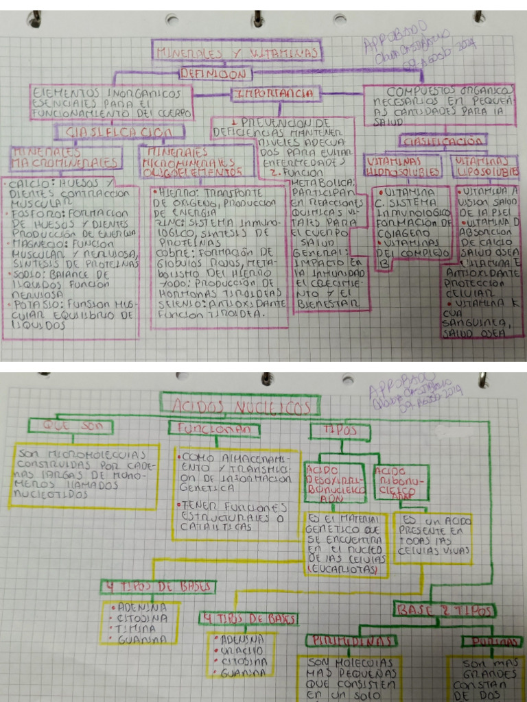 Mapas Conceptuales | PDF
