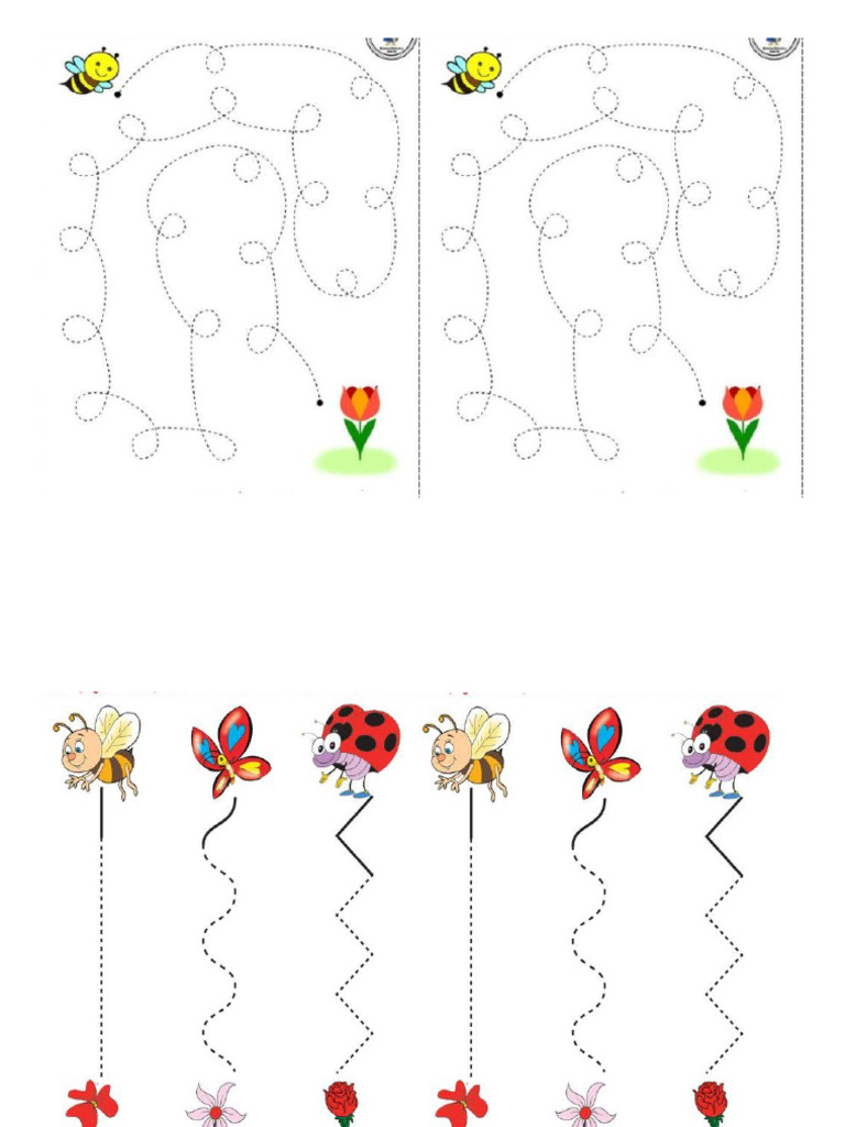 fise insecte | PDF