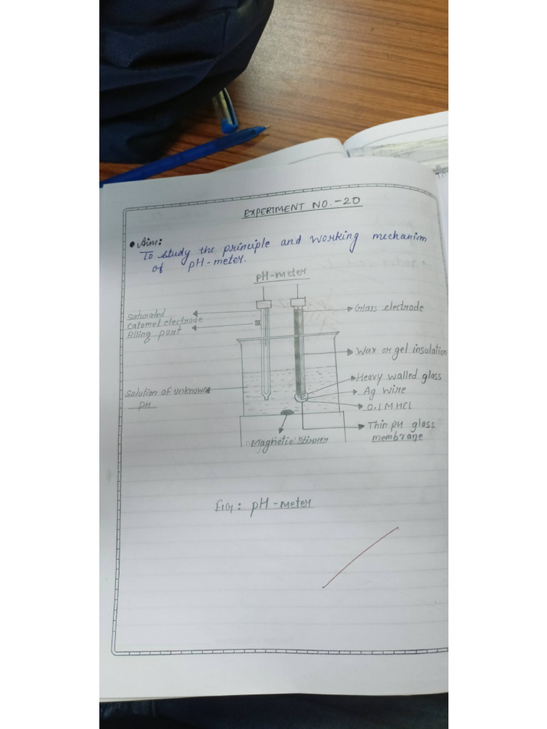 Zoology Practical BSC | PDF
