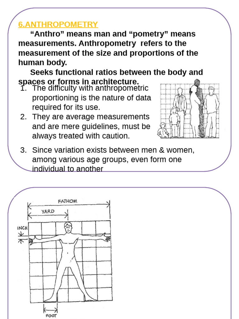 Anthropo - Scale | PDF | Anthropometry | Human Factors And Ergonomics