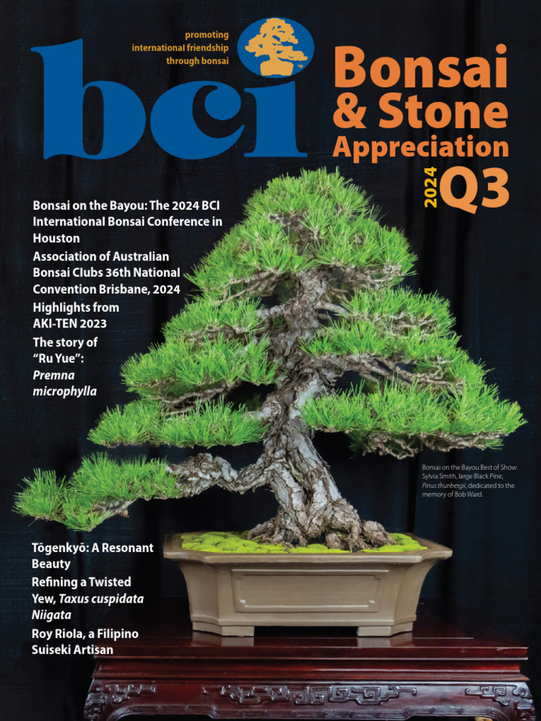 Bonsai Stone Appreciation Q3 07 09 2024 | PDF | Bonsai | Committee