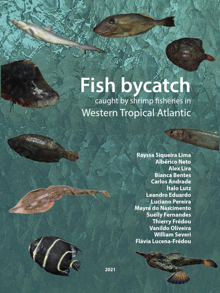 Fish Bycatch 2021 | PDF | Gill | Anatomical Terms Of Location