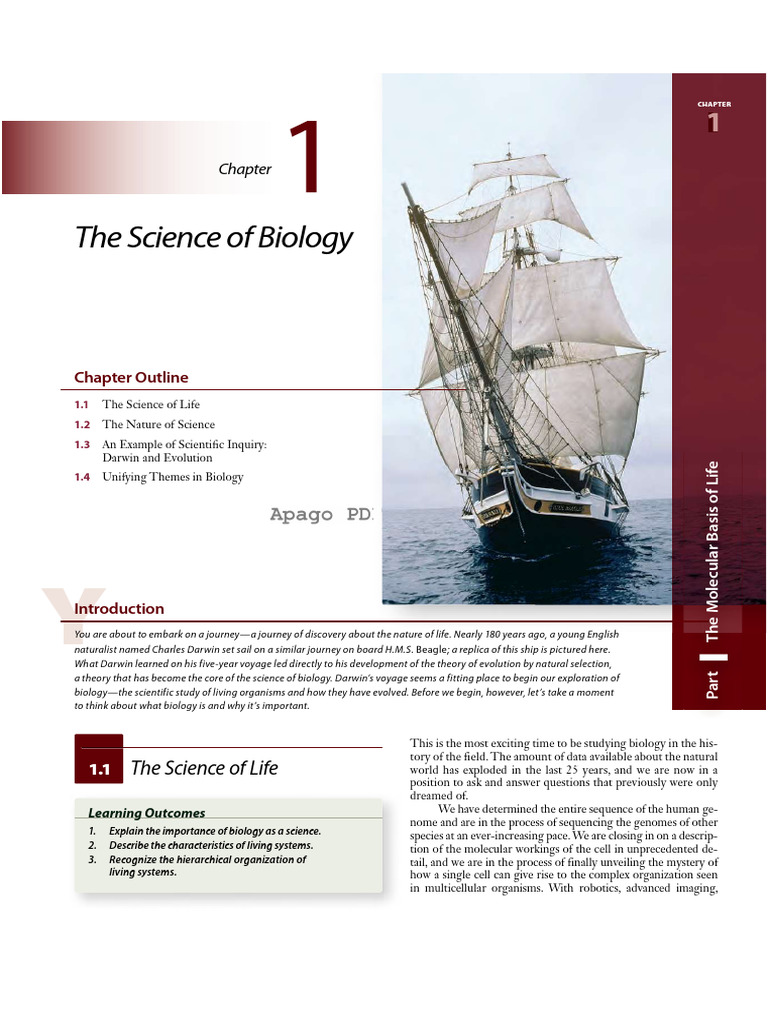 p1 | PDF | Science | Evolution