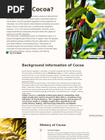 Cocoa Flow Chart | PDF | Cocoa Bean | Chocolate
