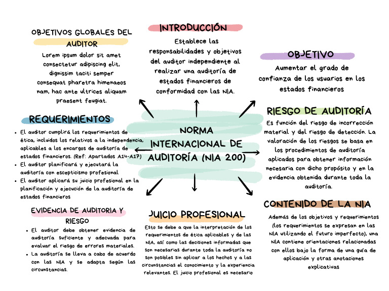 Mapa Conceptual Nia 200 | PDF | Auditoría | Contralor