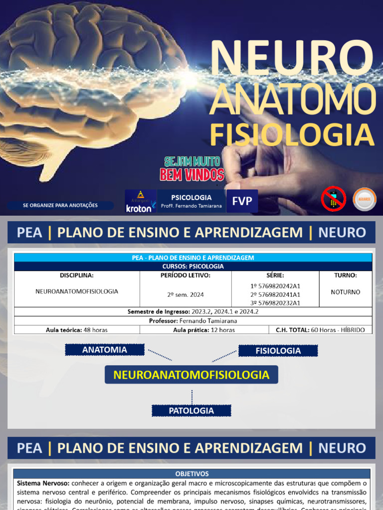Aula 01 | PDF | Neurociência | Cérebro