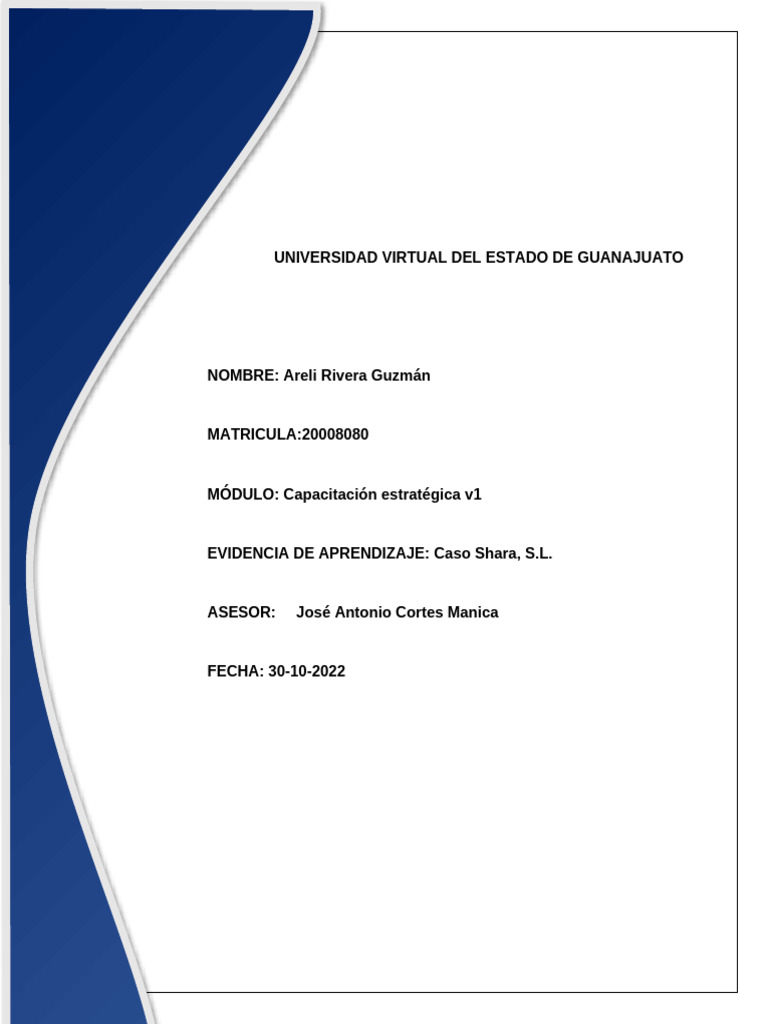 Rivera Areli Caso Shara | PDF | Business | Economias