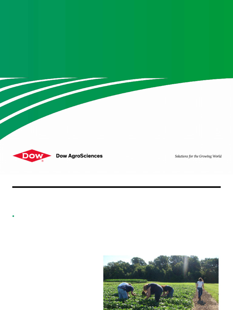 Metodologia-y-Estadistica Inv y Des | PDF | Media | Experimentar