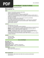 Havran - Rozbor K Maturitě | PDF