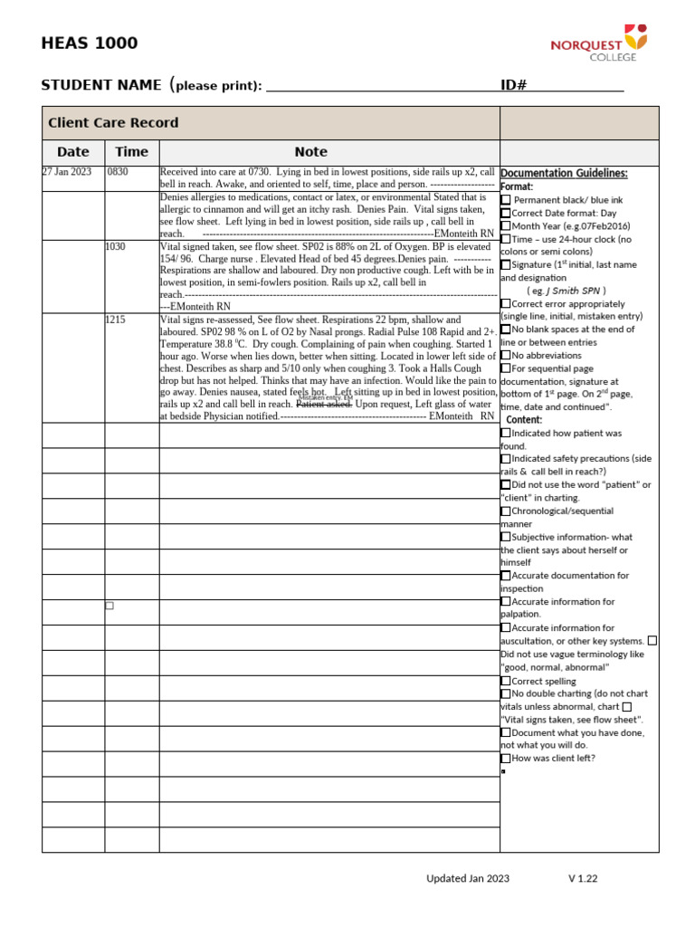 Client Care Documentation Guidelines | PDF | Physical Examination ...