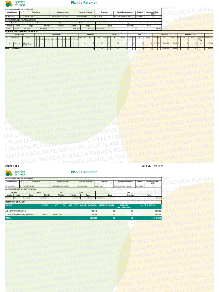 05.Ss Mayo 2024 Arl Cons Hdc | PDF | Servicios financieros | Sector privado
