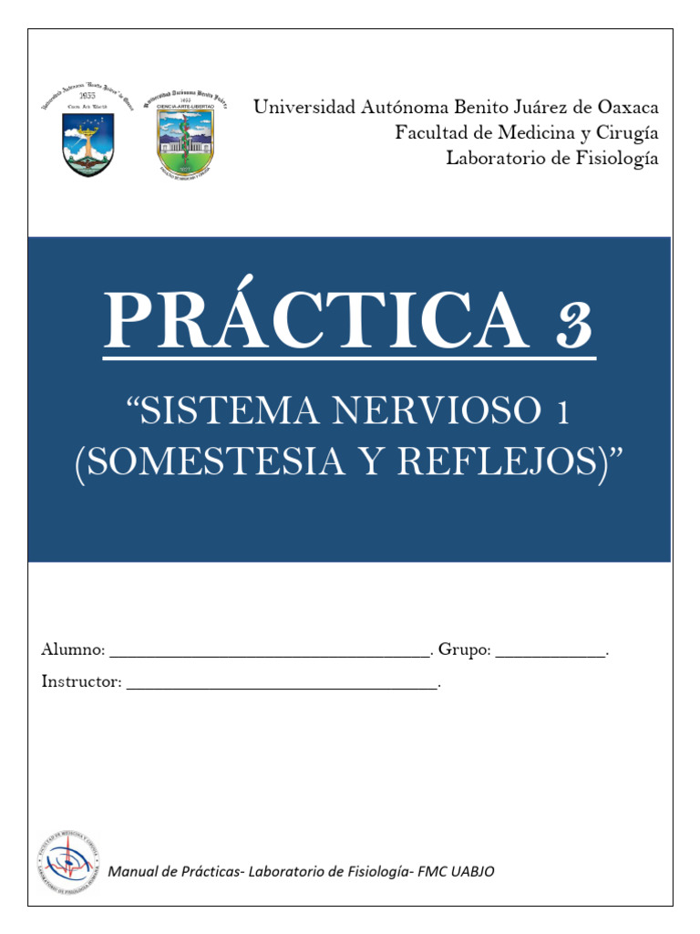 Práctica de Somestesia y Reflejos en Fisiología | PDF | Sistema ...