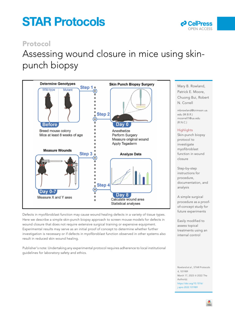Assessing Wound Closure in Mice Using Skinpunch Biopsy | PDF | Hair ...