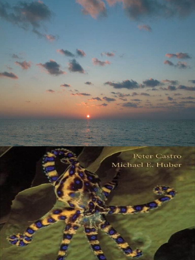 Marine Chapter 1 | PDF | Earth Sciences | Oceanography