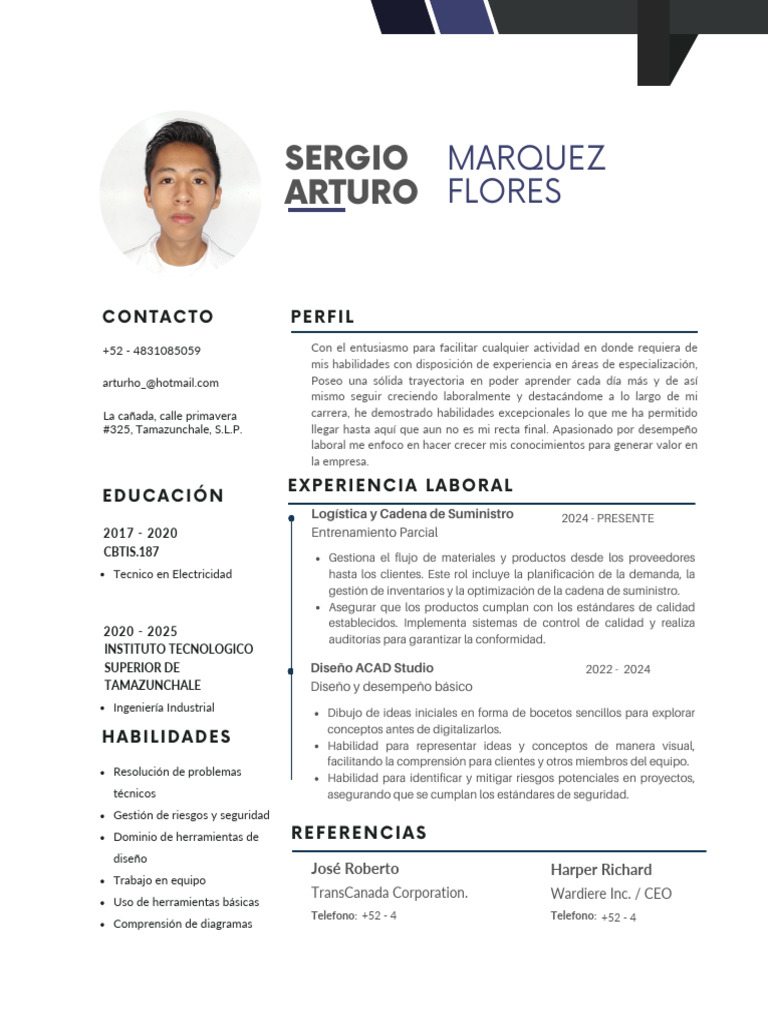 CV - Sergio Arturo Marquez | PDF | Calidad (comercial) | Logística
