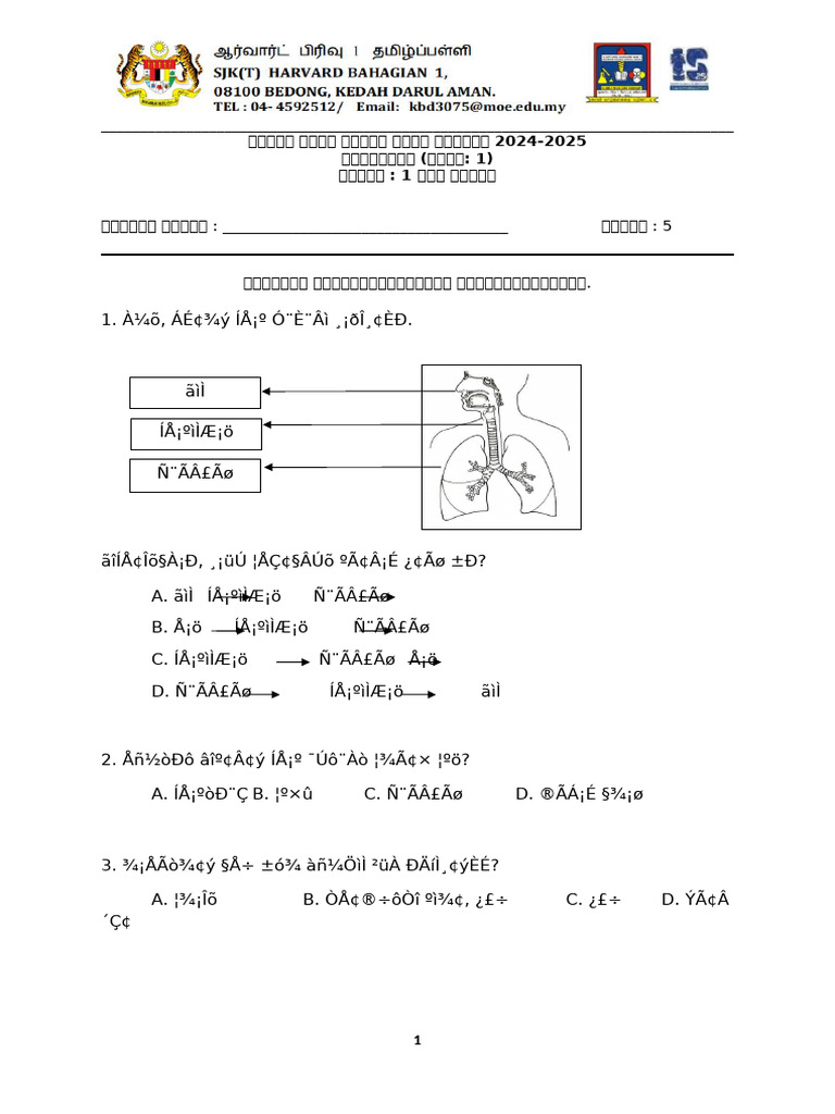 Exam Paper SN T5 K1 2024 | PDF