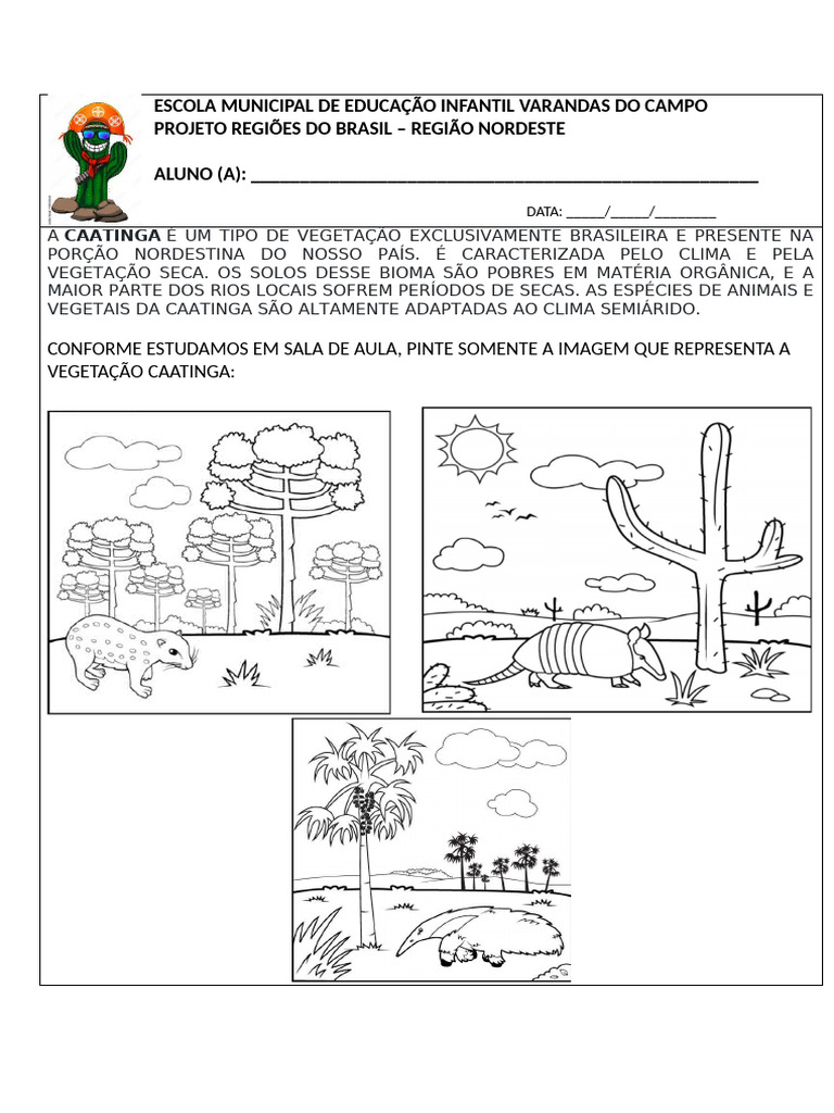 Atividade CAATINGA | PDF | Ciências e Matemática | Tecnologia e Engenharia