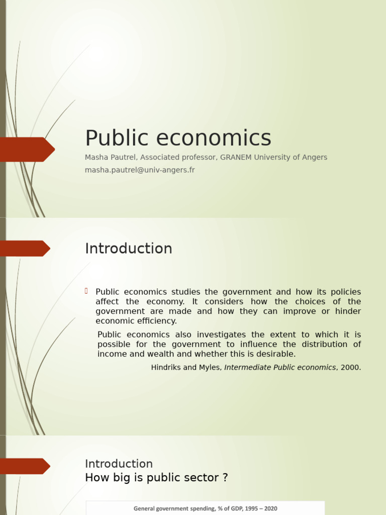 Understanding Public Economics Basics | PDF | Externality | Monopoly