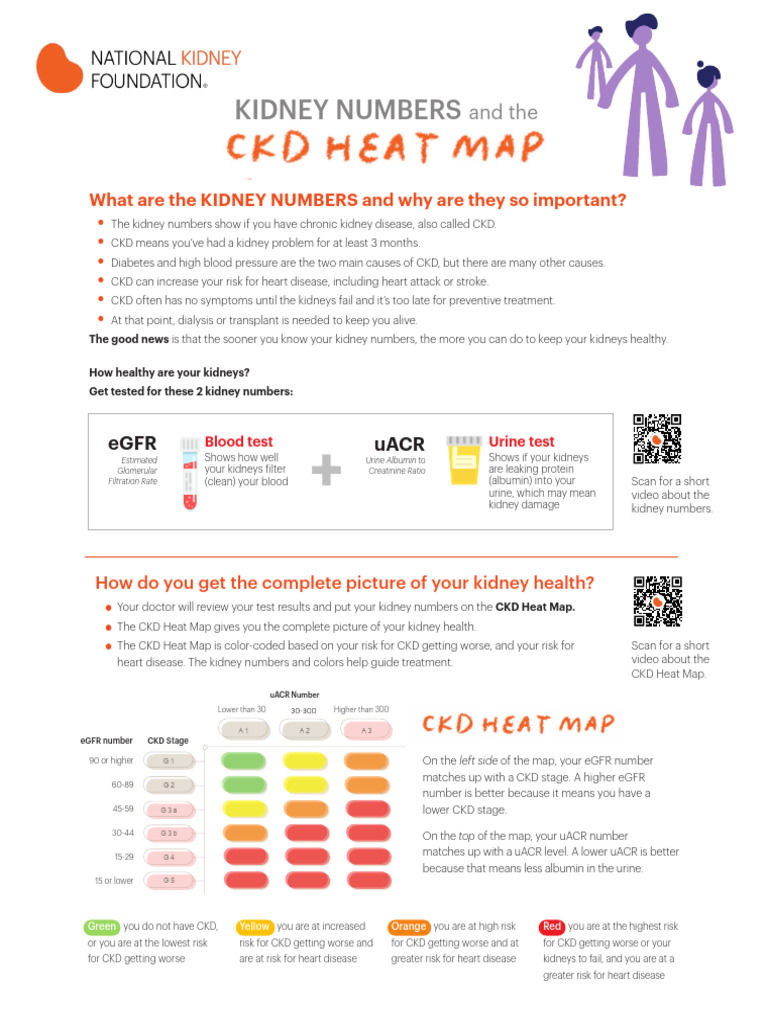 Understanding Your CKD Heat Map | PDF | Chronic Kidney Disease ...