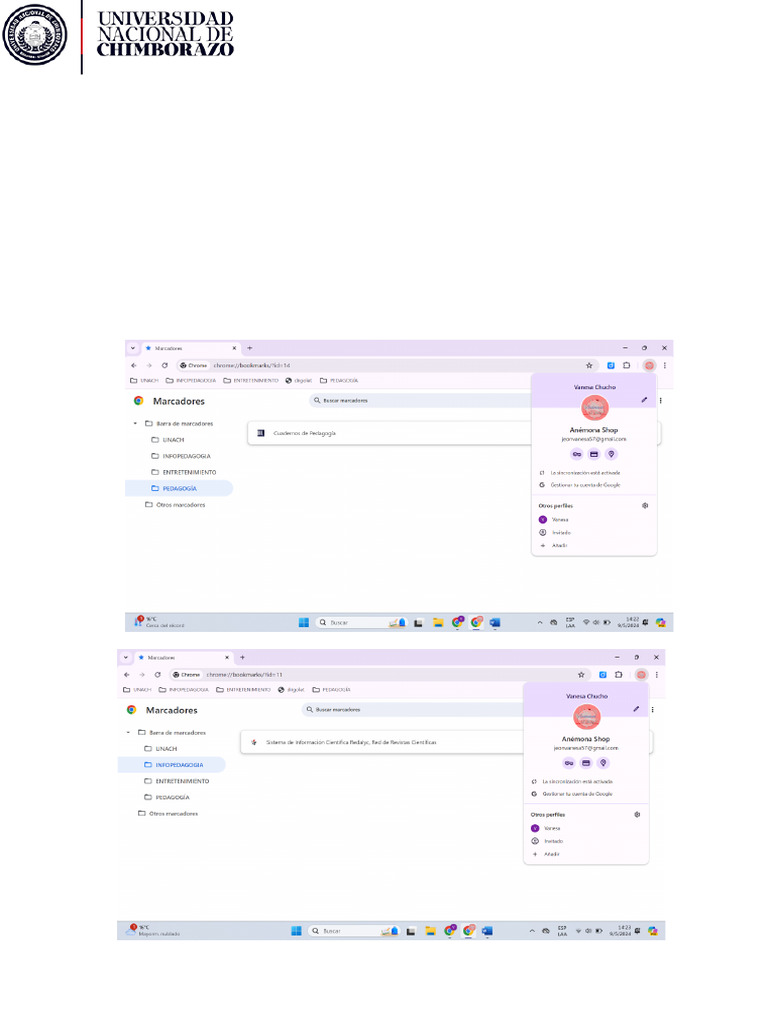 Gestión de Favoritos y Recursos en Diigo | PDF