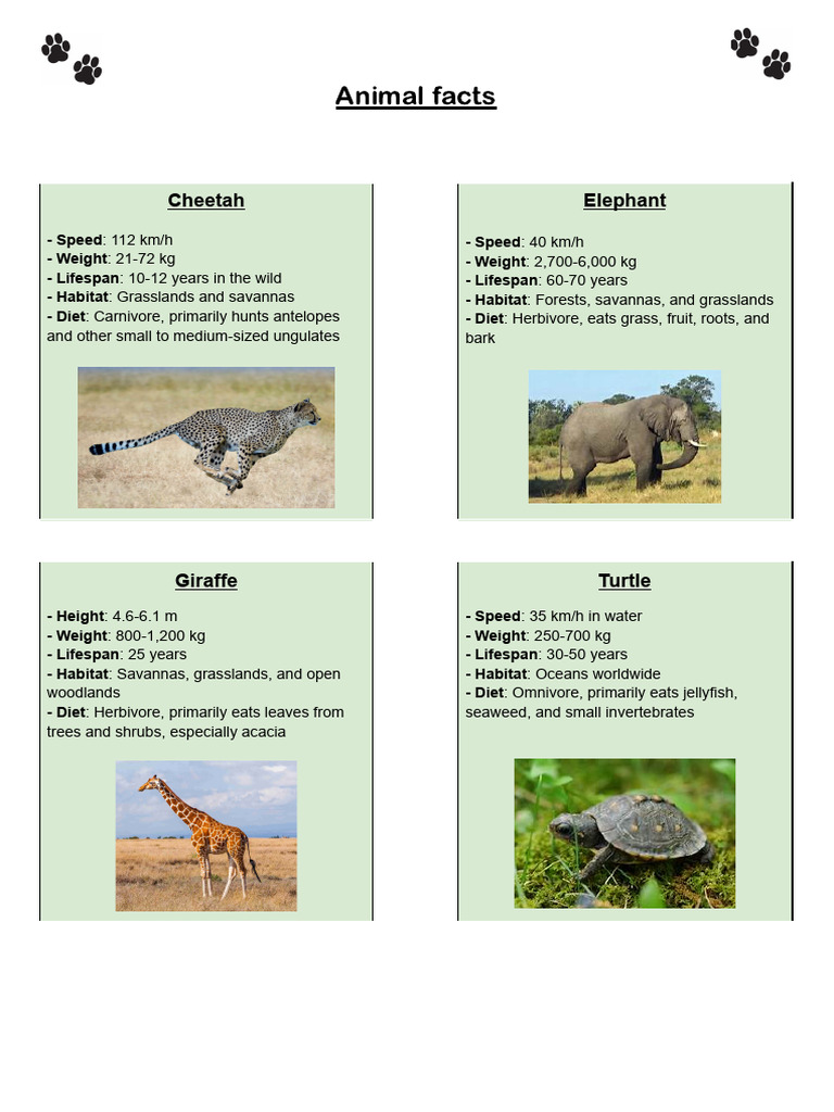 Animal Facts 6TH | PDF | Grassland | Savanna
