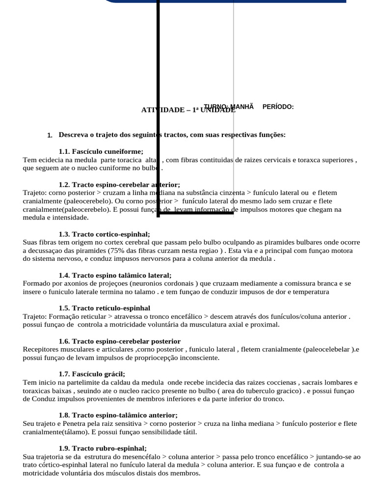 Atividade Neuroanatomia 1 p3 | PDF | Medula espinhal | Anatomia humana