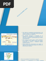 Cascada Ras y Vía MAPK en Células | PDF | Nucleo celular | Quinasa