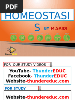 Homeostasis Notes Grade 12 | PDF | Homeostasis | Kidney