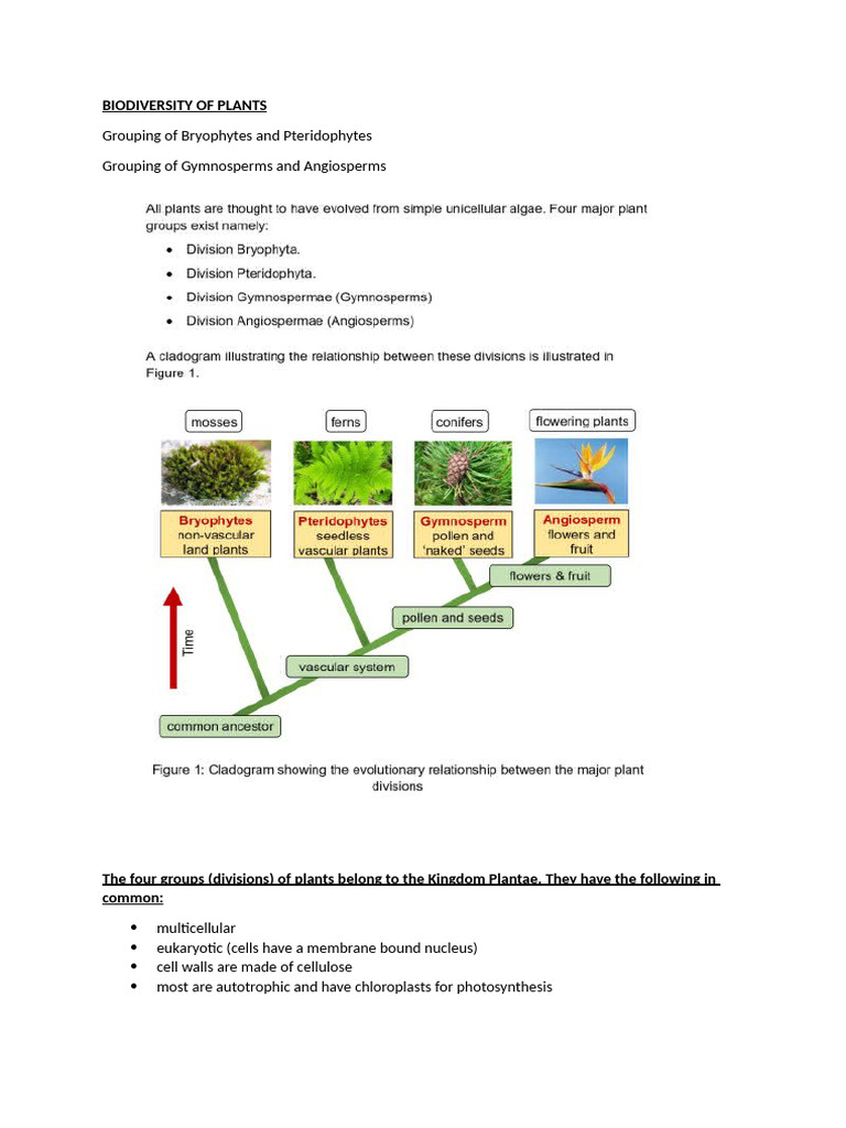 Biodiversity of Plants | PDF | Plants | Botany