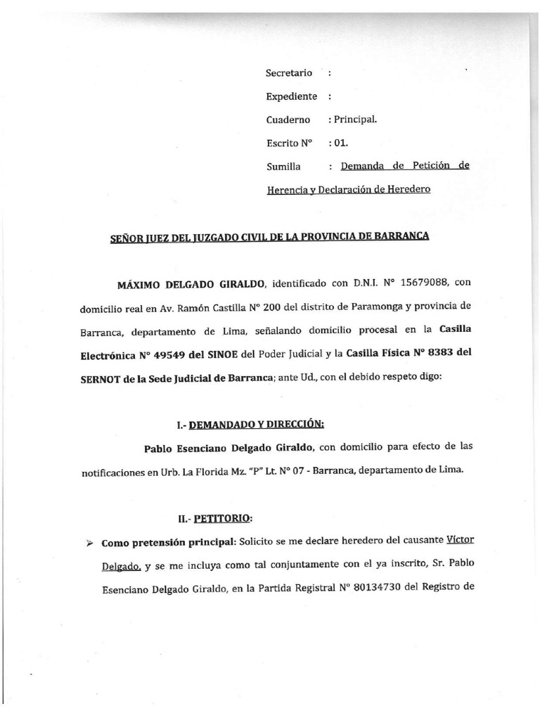 Demanda y Anexos - Petición de Herencia - Máximo Delgado Giraldo | PDF