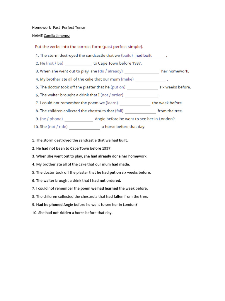 Homework Past Perfect Tense | PDF