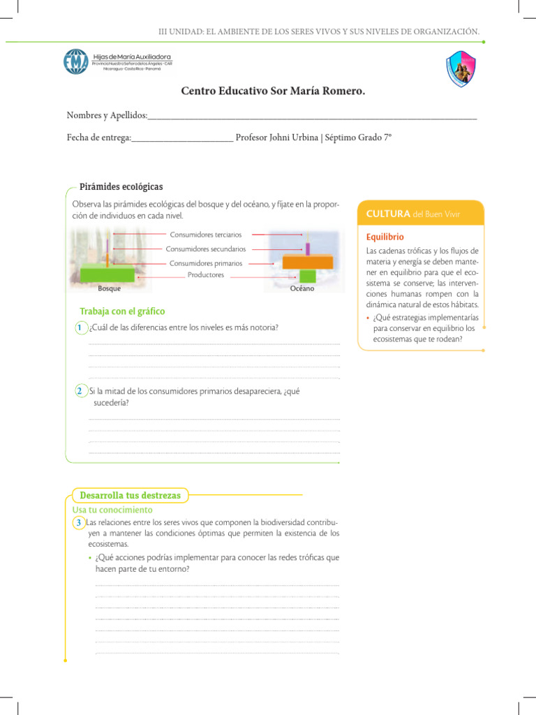 7° El Flujo de Energía en Los Ecosistemas (Hoja de Trabajo) | PDF ...