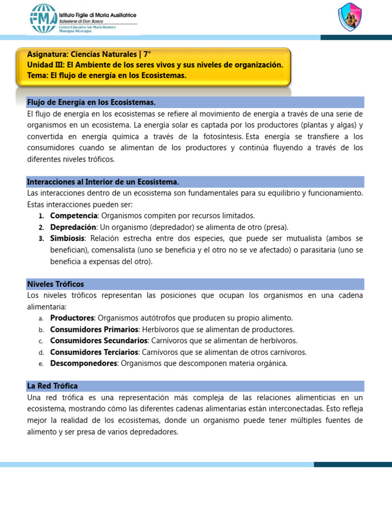 7° El Flujo de Energía en Los Ecosistemas | PDF | Red alimentaria ...