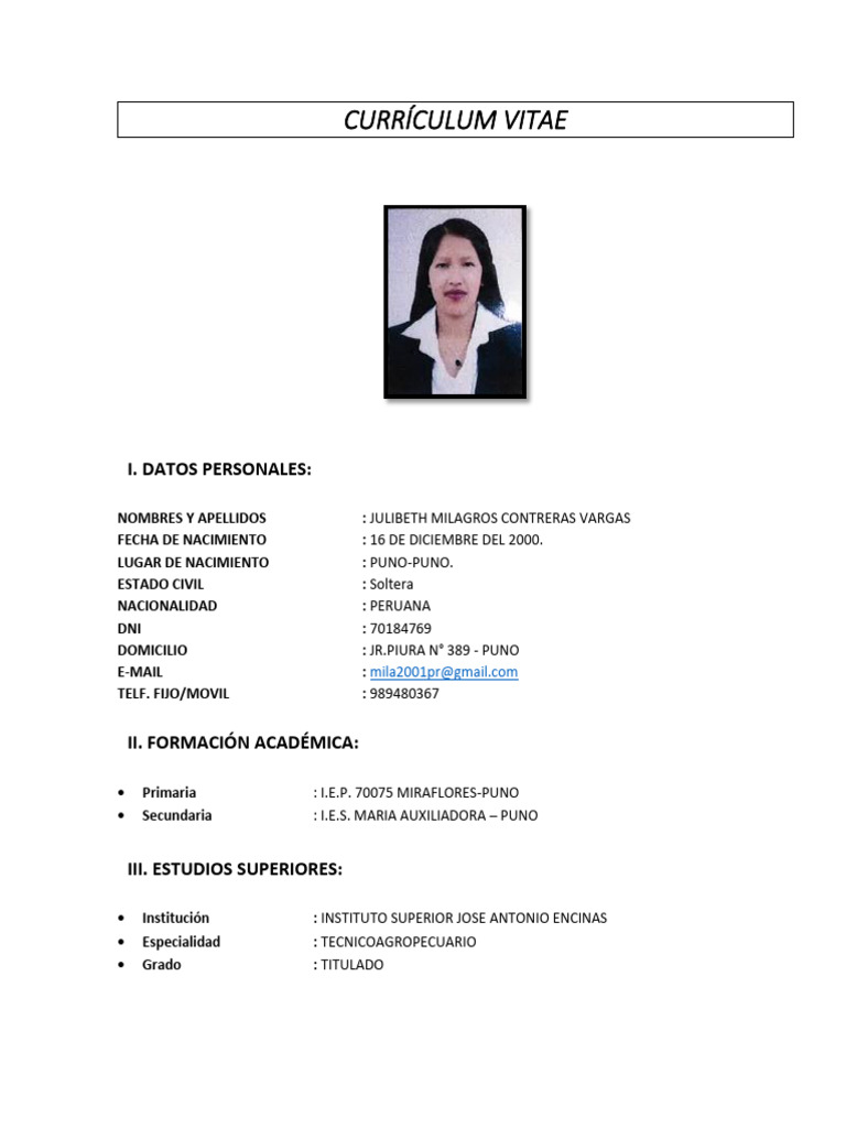 CV Julibeth Milagros Contreras Vargas | PDF