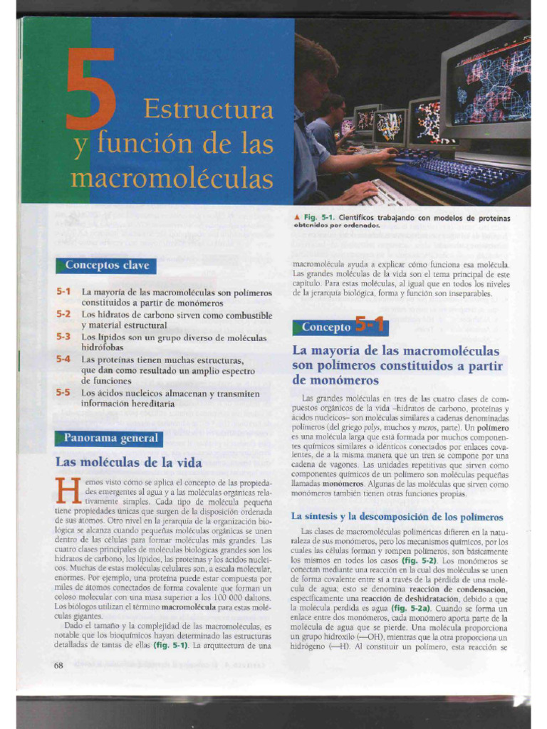 Biomoléculas Campbell y Reece Biología General. | PDF