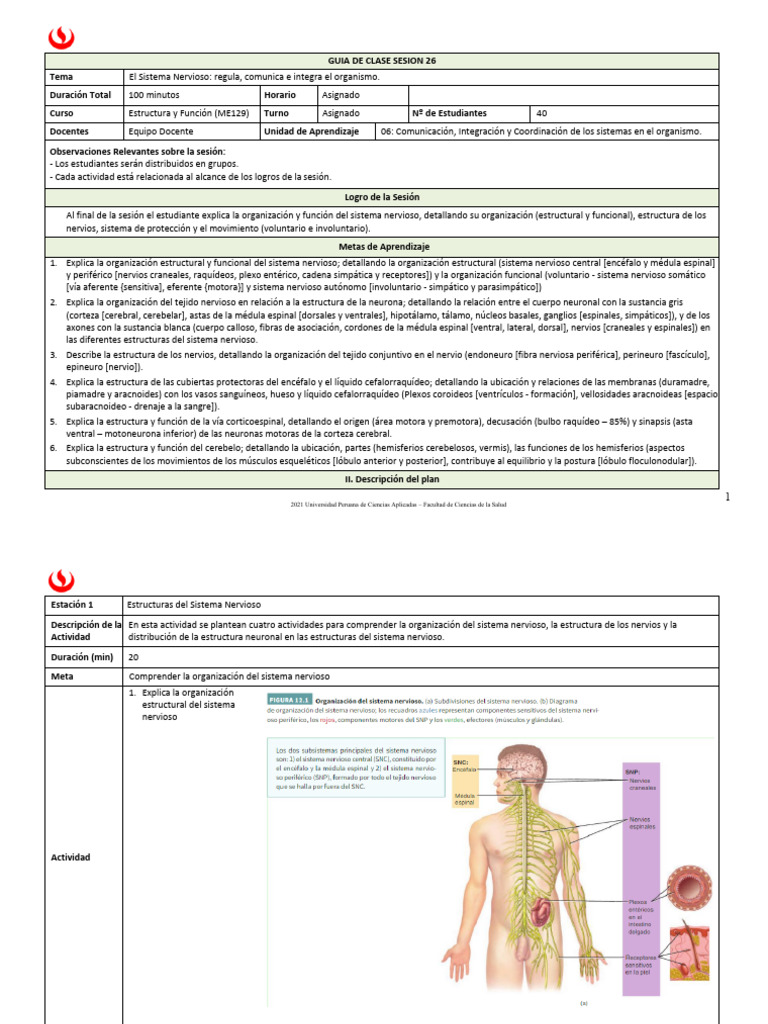 ME129 Sesión 26 Guía de Clase | PDF | Sistema nervioso | Nervio