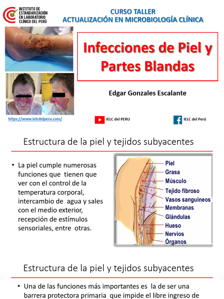 IPPB Introduccion | PDF | Piel | Microbiología