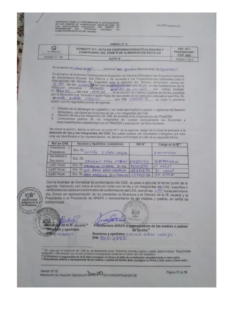 ACTA DE CONFORMACION DE CAE | PDF