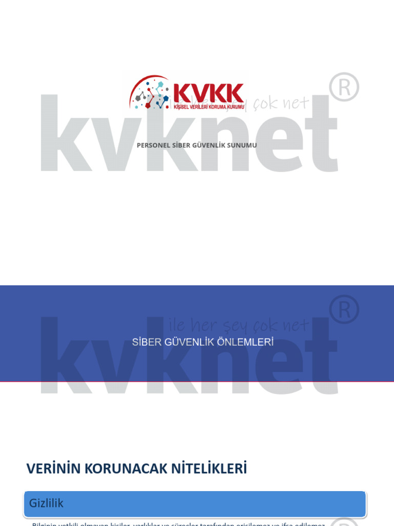 Siber Guvenlik | PDF