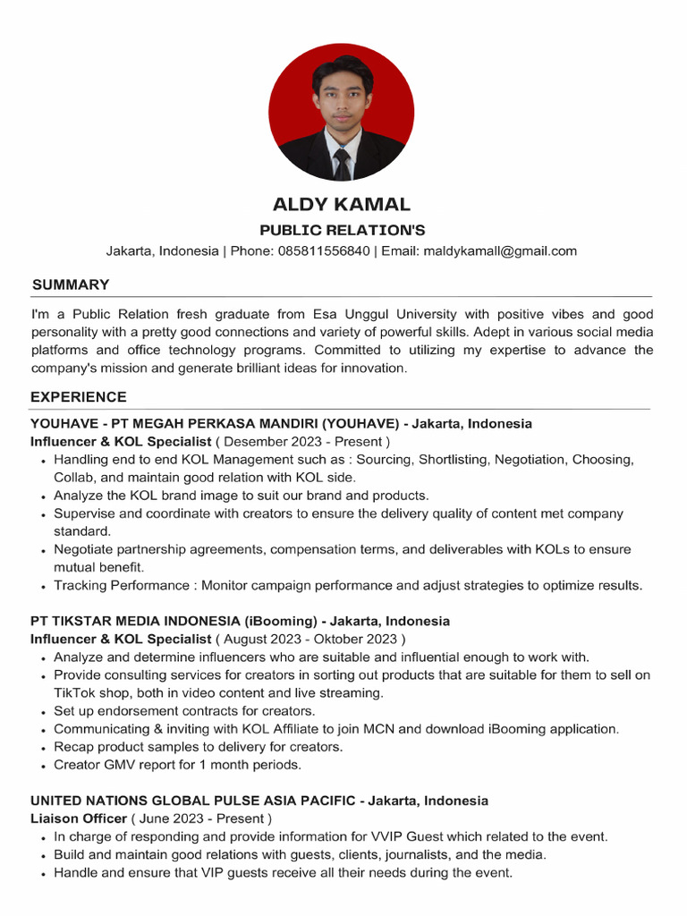 CV - ALDY KAMAL 2024.pdf | PDF