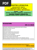 Umhlahlandlela Wokuzifundela Ukubhala Draft 1 | PDF