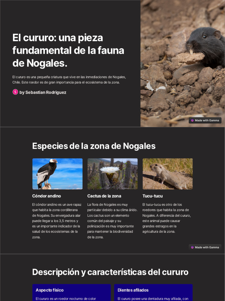 El Cururo Una Pieza Fundamental de La Fauna de Nogales | PDF | Habitat ...