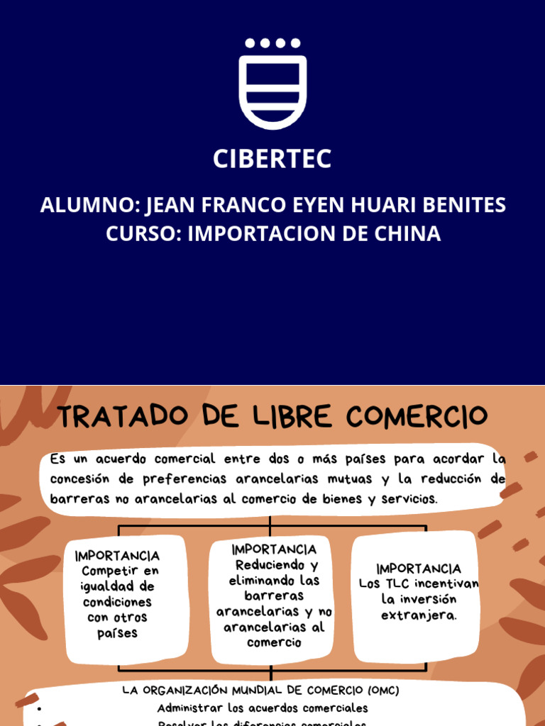 Tarea Cibertec | PDF | Relaciones Internacionales | Economias